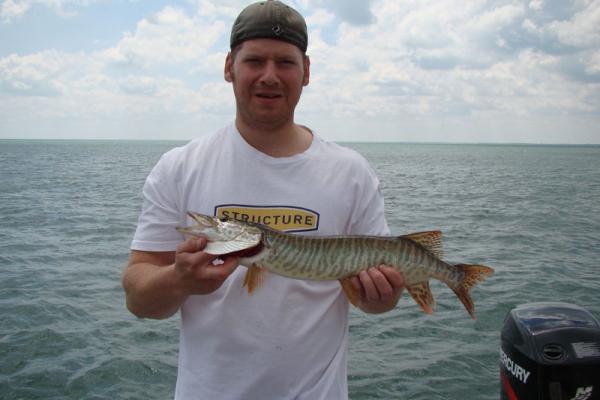 Tiger Musky at Lake St. Clair Metropark - Eternal Angler