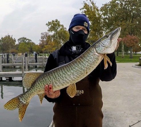 Tiger Musky at Lake St. Clair Metropark - Eternal Angler