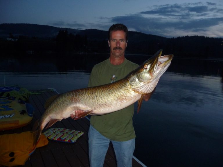 Musky Night Fishing - Eternal Angler